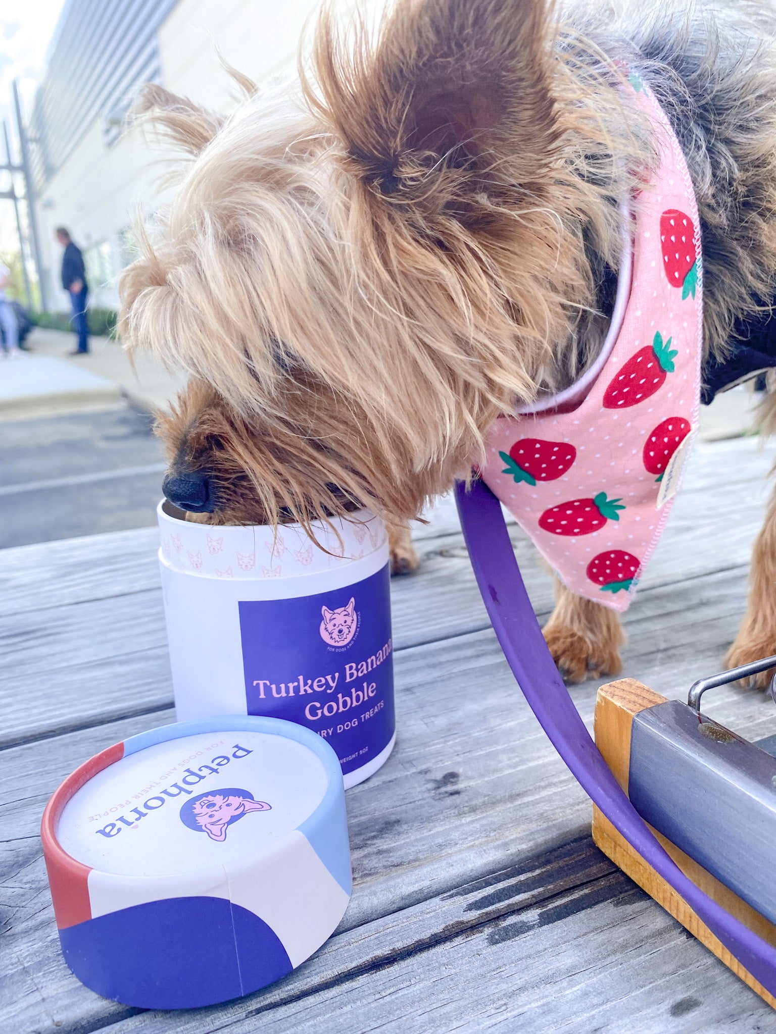 Turkey Banana Gobble | Natural Dog Treats | Limited Ingredients – Petphoria